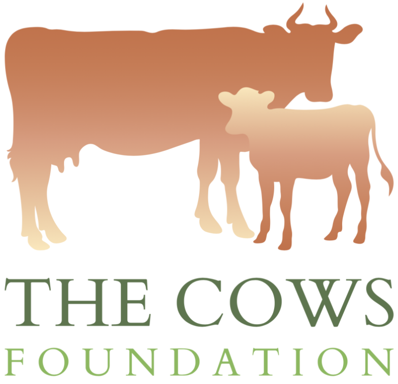 The Year of Expansion | The Cows Foundation